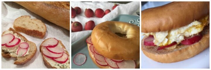 Facts About Radishes