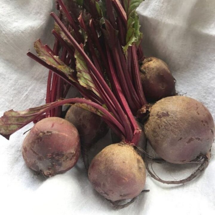 Boiled Beets - End of the Fork
