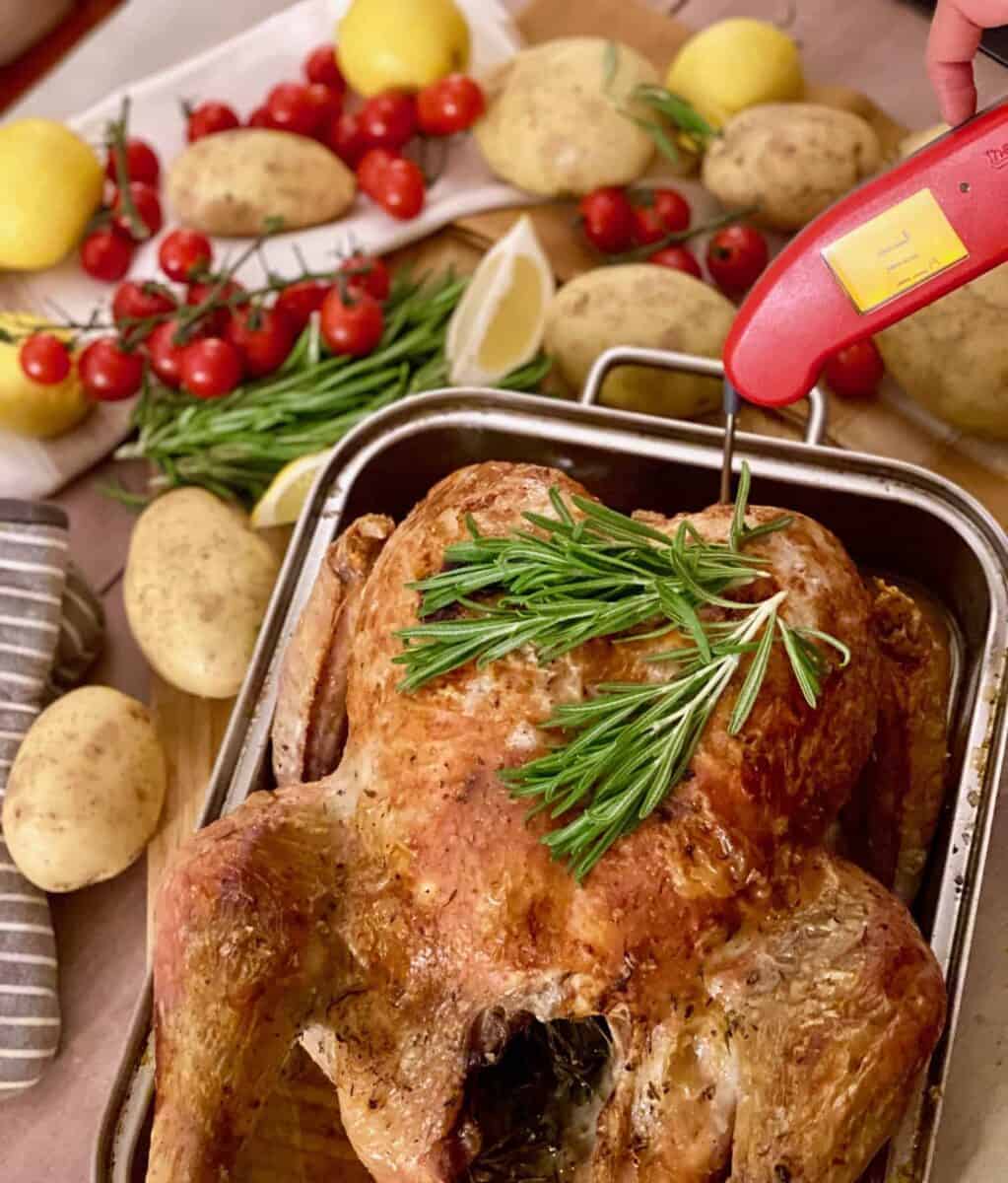 How To Cook The Perfect Turkey - End of the Fork