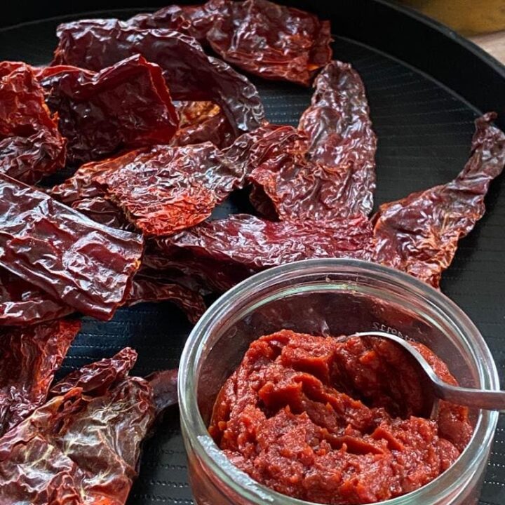 Homemade Indian Red Chilli Paste - End of the Fork