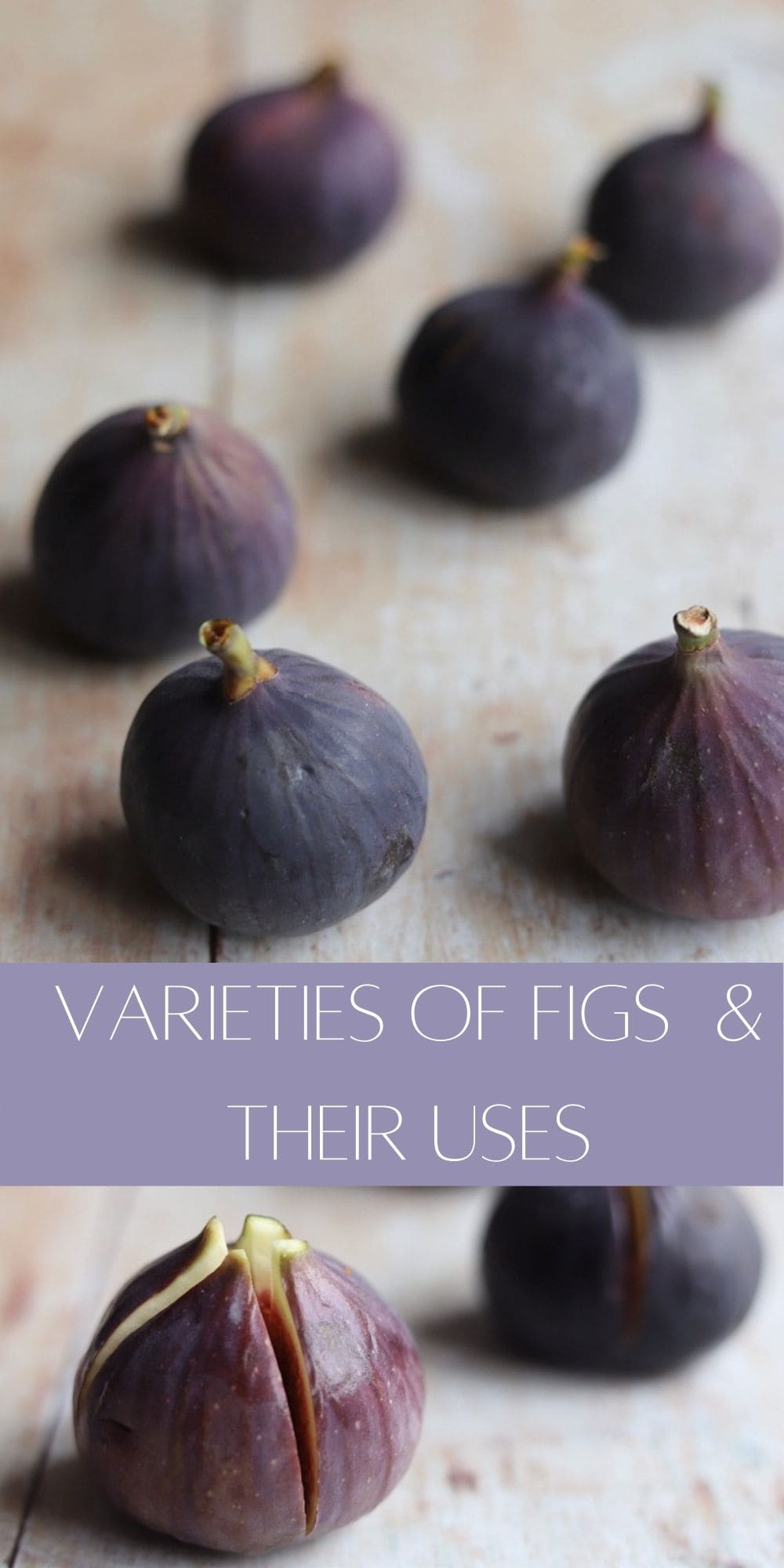 Cooking With Figs - End of the Fork
