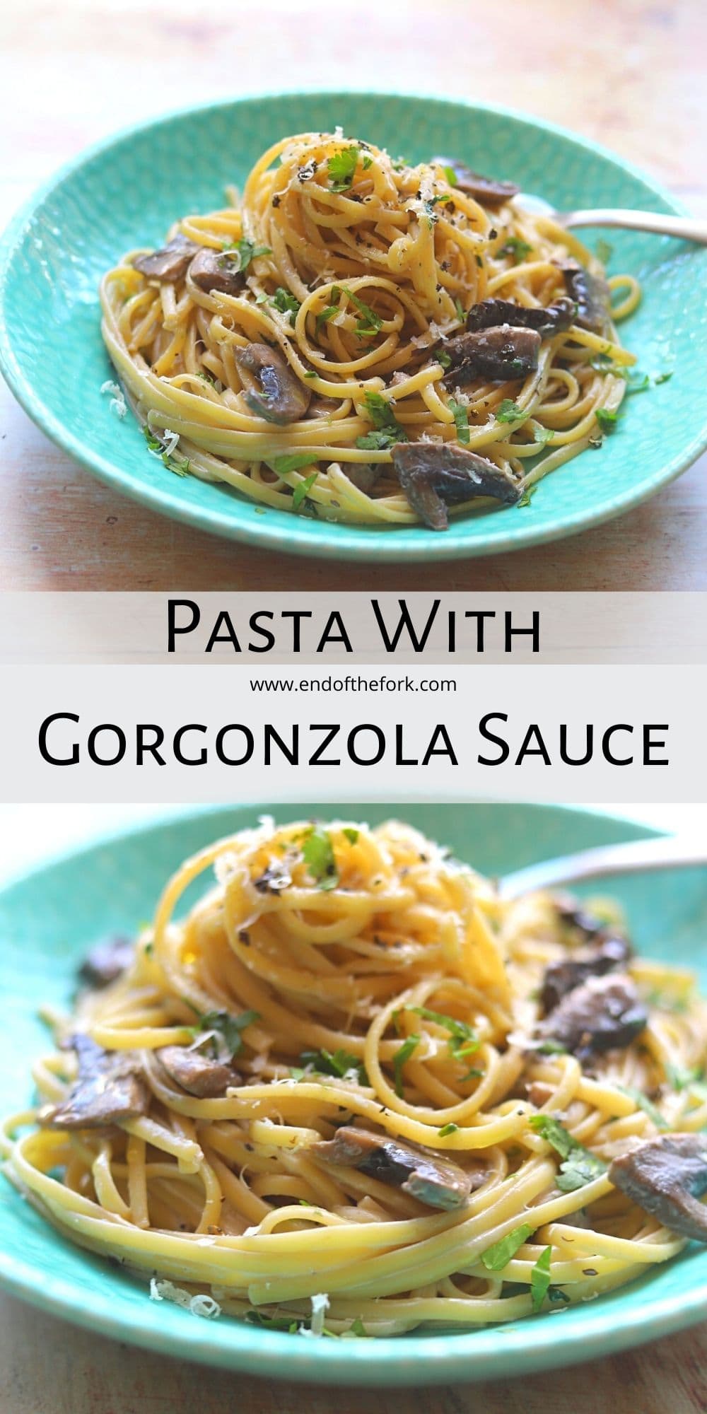 Pasta Al Gorgonzola - End of the Fork