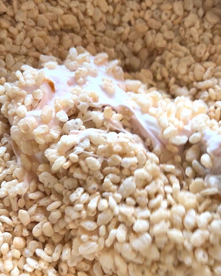 Rice Krispie Treats - End of the Fork