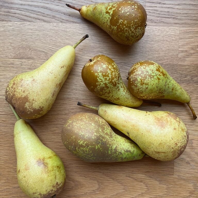 Pear Cobbler - End of the Fork