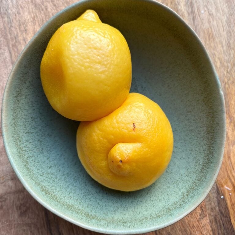 How To Make Boiled Lemons And Ways To Use Them - End of the Fork